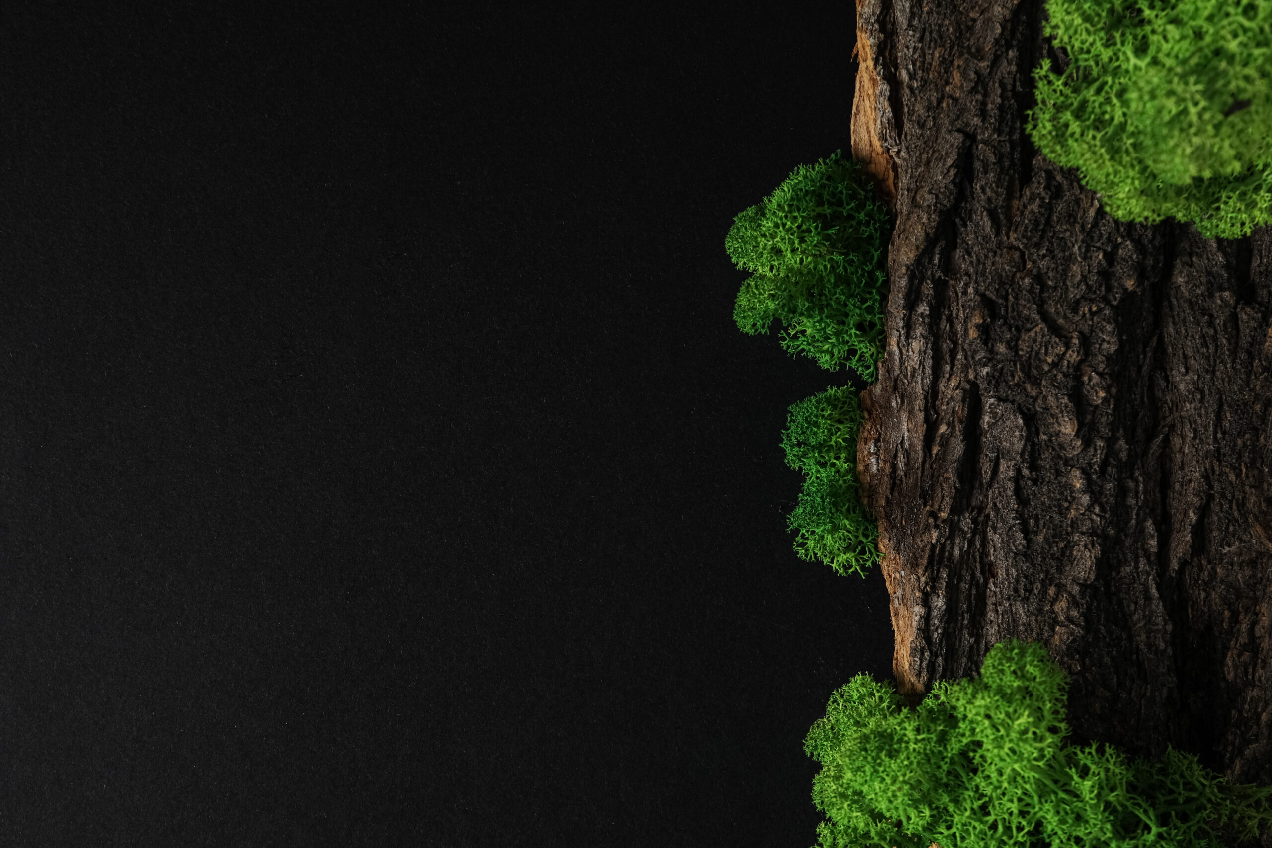 Essential Skills for Park and Recreation Professionals (CPRP) Prep Exam ...